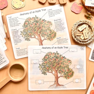 Apple Unit Study Homeschool Fall Printables Charlotte Mason Preschool ...