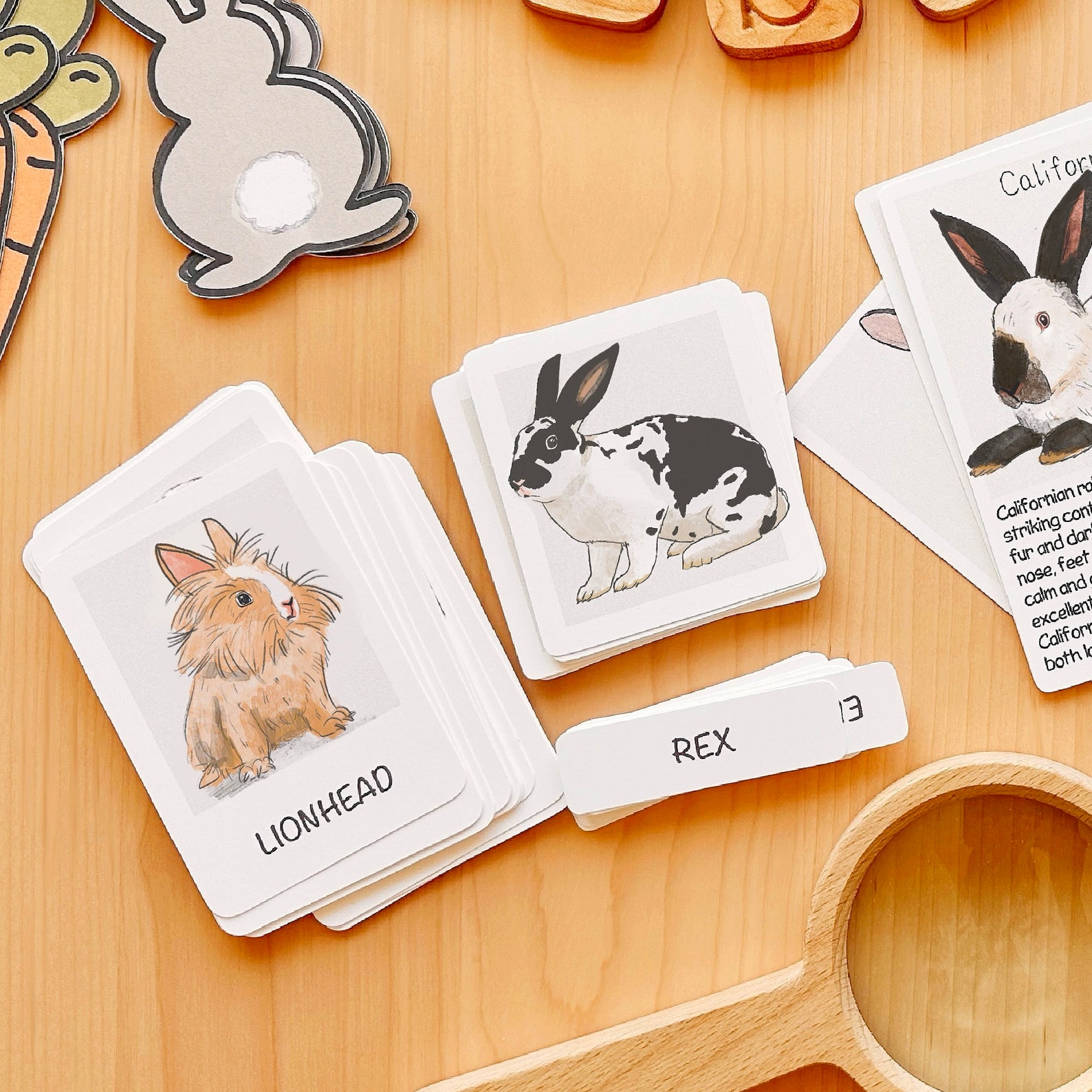 Rabbit Flash Cards Montessori Printable Homeschool Resources Nature ...