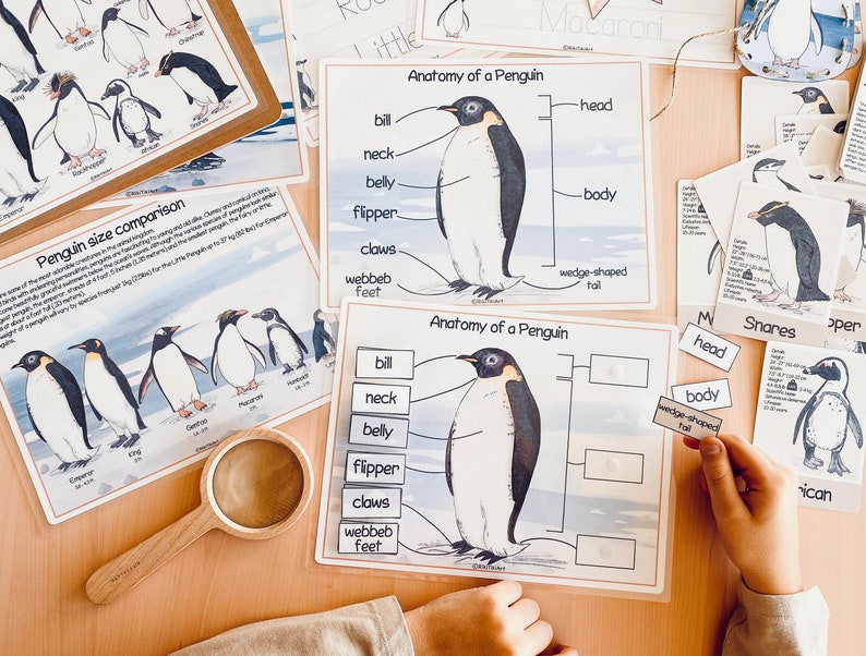 Penguins Unit Study Winter Homeschool Learning Materials - Etsy