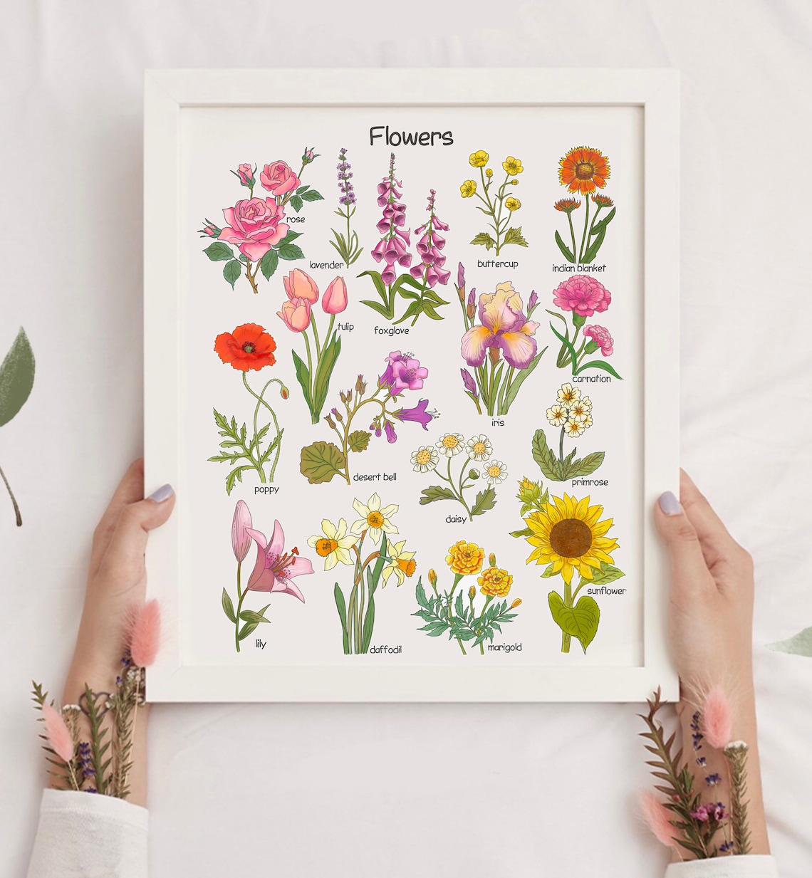 Flowers Poster Homeschool Educational Posters Classroom - Etsy