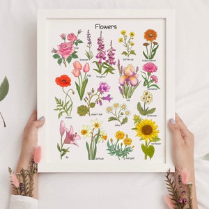 Flowers Poster Homeschool Educational Posters Classroom Playroom ...