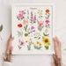 Flowers Poster Homeschool Educational Posters Classroom - Etsy