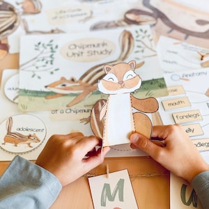 Chipmunk Unit Study Bundle Fall Homeschool Printables Charlotte Mason ...