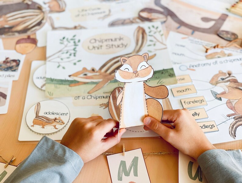 Chipmunk Unit Study Bundle Fall Homeschool Printables - Etsy