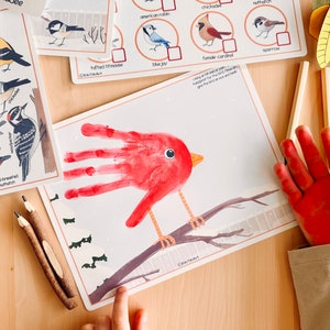 Winter Backyard Birds Unit Study Charlotte Mason Homeschool Learning ...