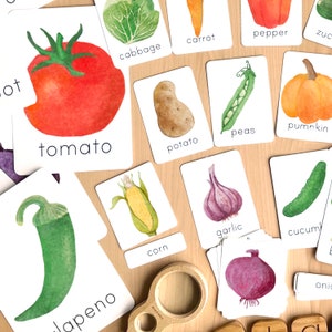 18 Watercolor Vegetables Flash Cards for Kids Vegetable Flashcards for ...