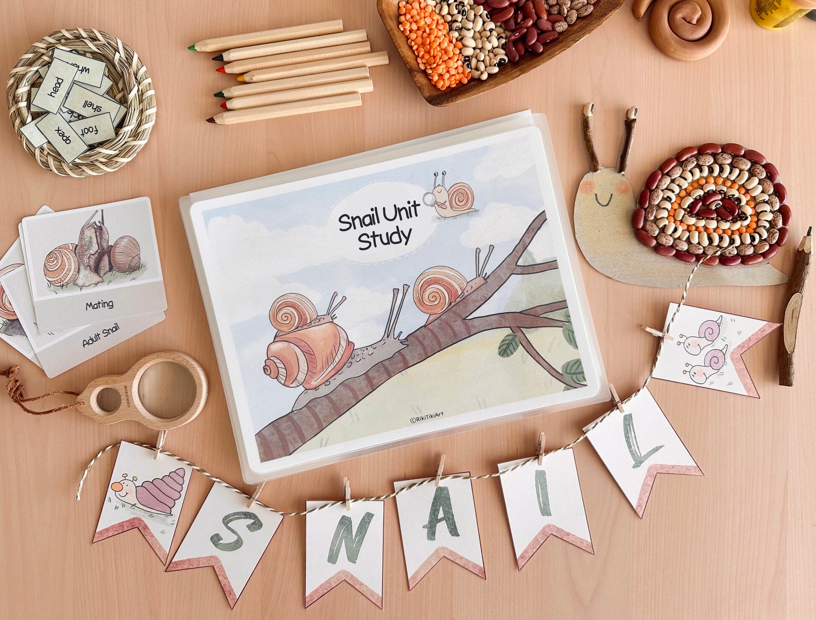 Snail Unit Study Charlotte Mason Spring Printable Worksheets Preschool ...