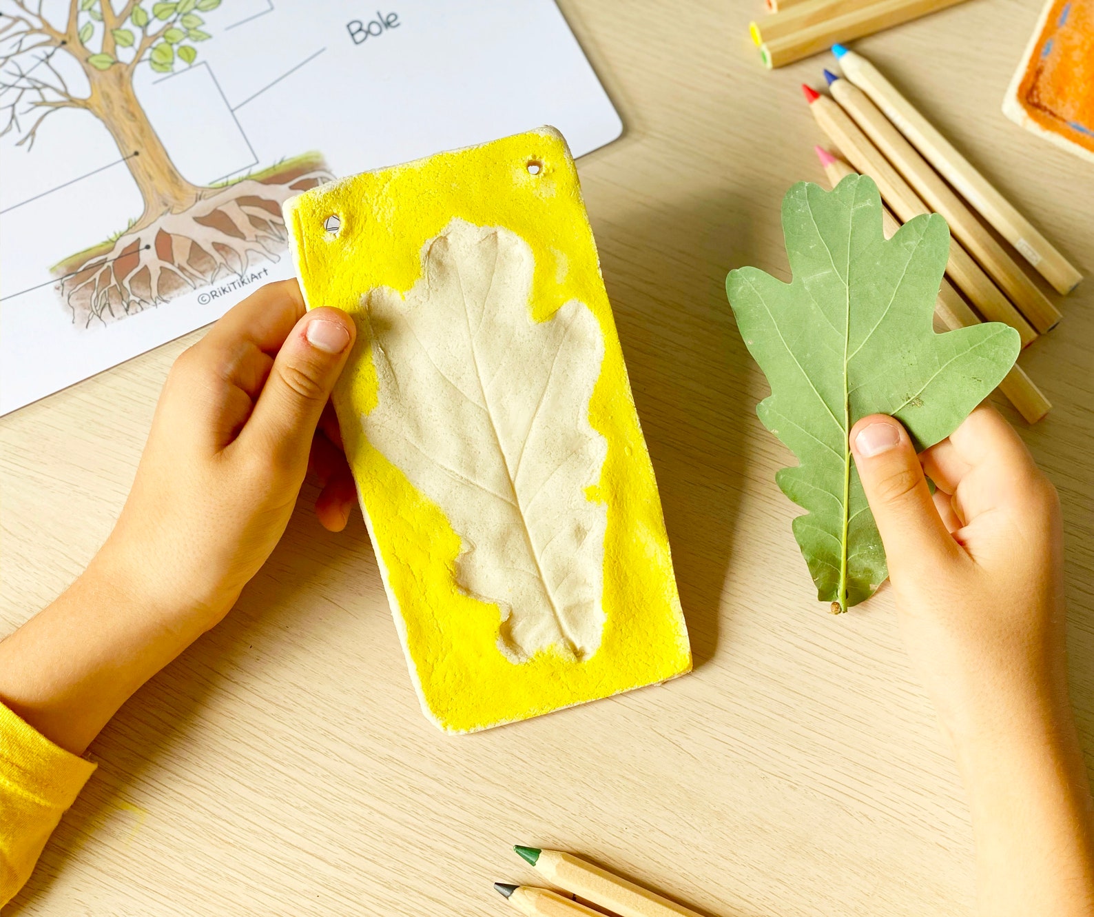 Tree Unit Study Bundle Charlotte Mason Anatomy of a Tree Nature Study ...