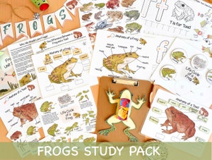 Geography Lapbook Teach Maps & Globes Geography Reading Passages ...