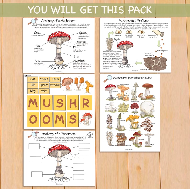 Mushrooms Unit Study Bundle Charlotte Mason Homeschool Learning ...