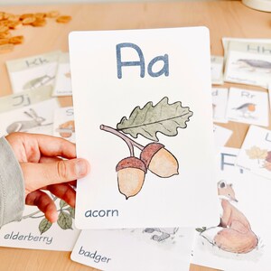 Woodland Alphabet Flashcards: Watercolor Forest ABC Cards (digital ...