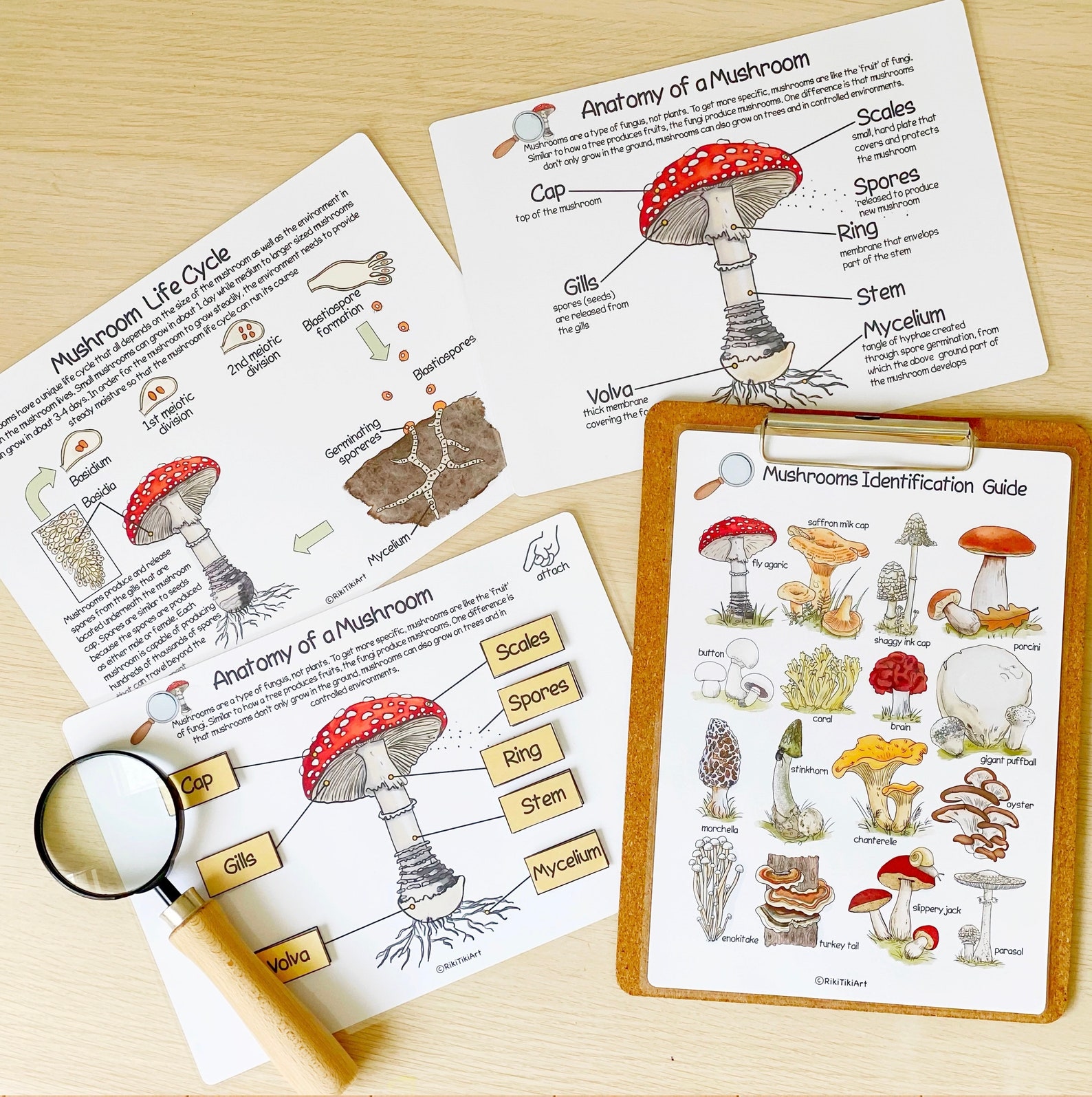 Printable Nature Journal Homeschool Learning Materials Charlotte Mason ...