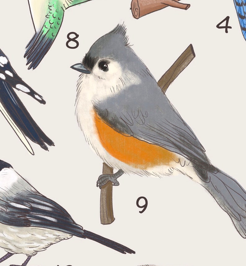 Backyard Birds Educational Posters Montessori Nursery - Etsy