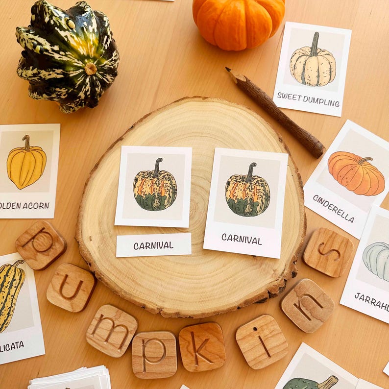 Pumpkin & Squash Flash Cards Toddler Watercolor Educational Flashcards ...