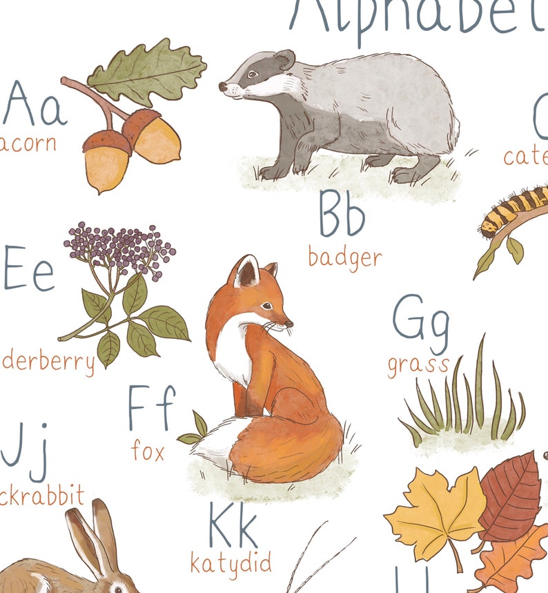 Woodland Alphabet Poster Woodland Animals Nursery Wall Art - Etsy