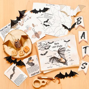 Bats Unit Study Homeschool Fall Activities Bat Anatomy & Life Cycle ...