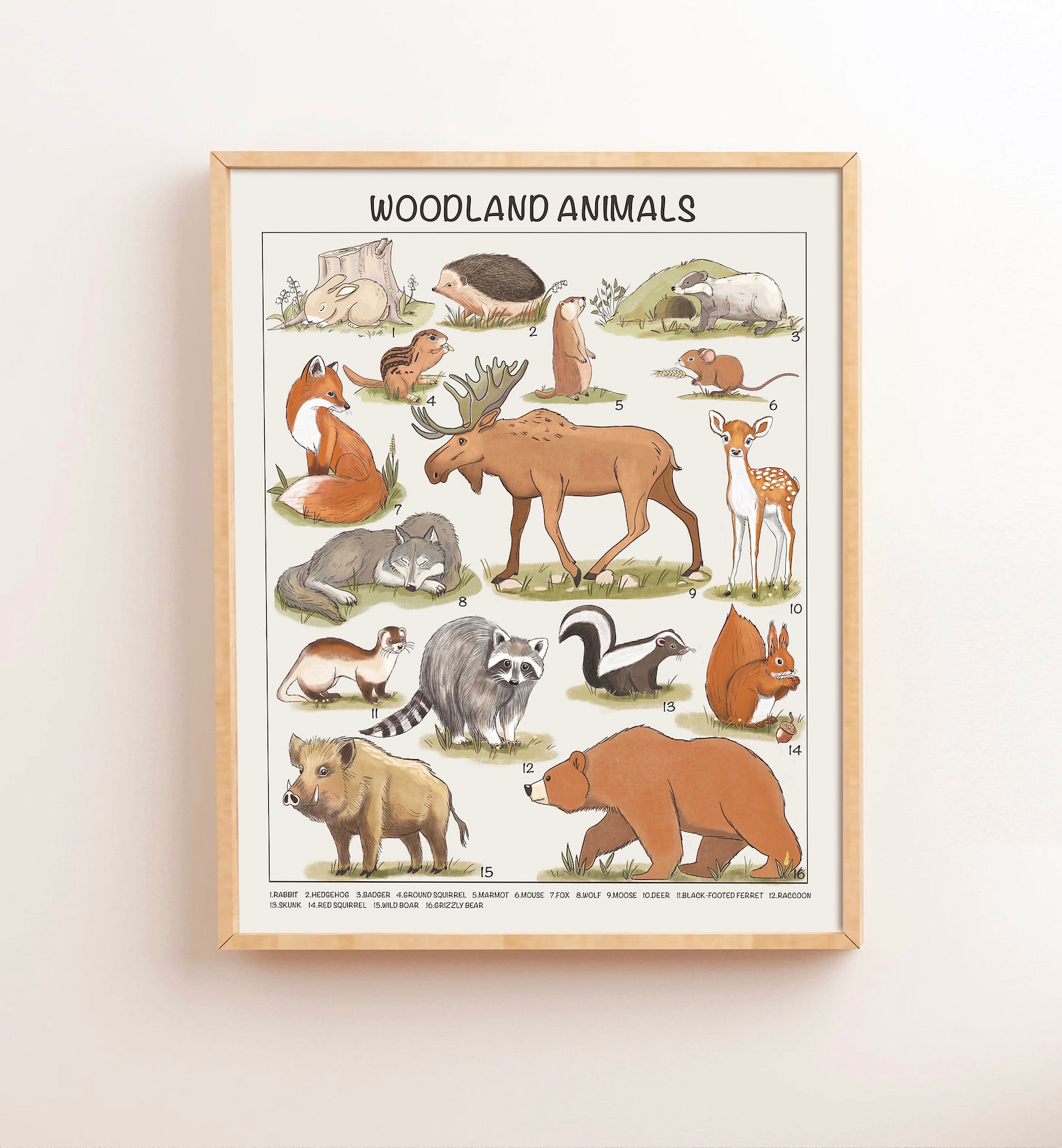Woodland Animals Educational Posters Montessori Nursery | Etsy