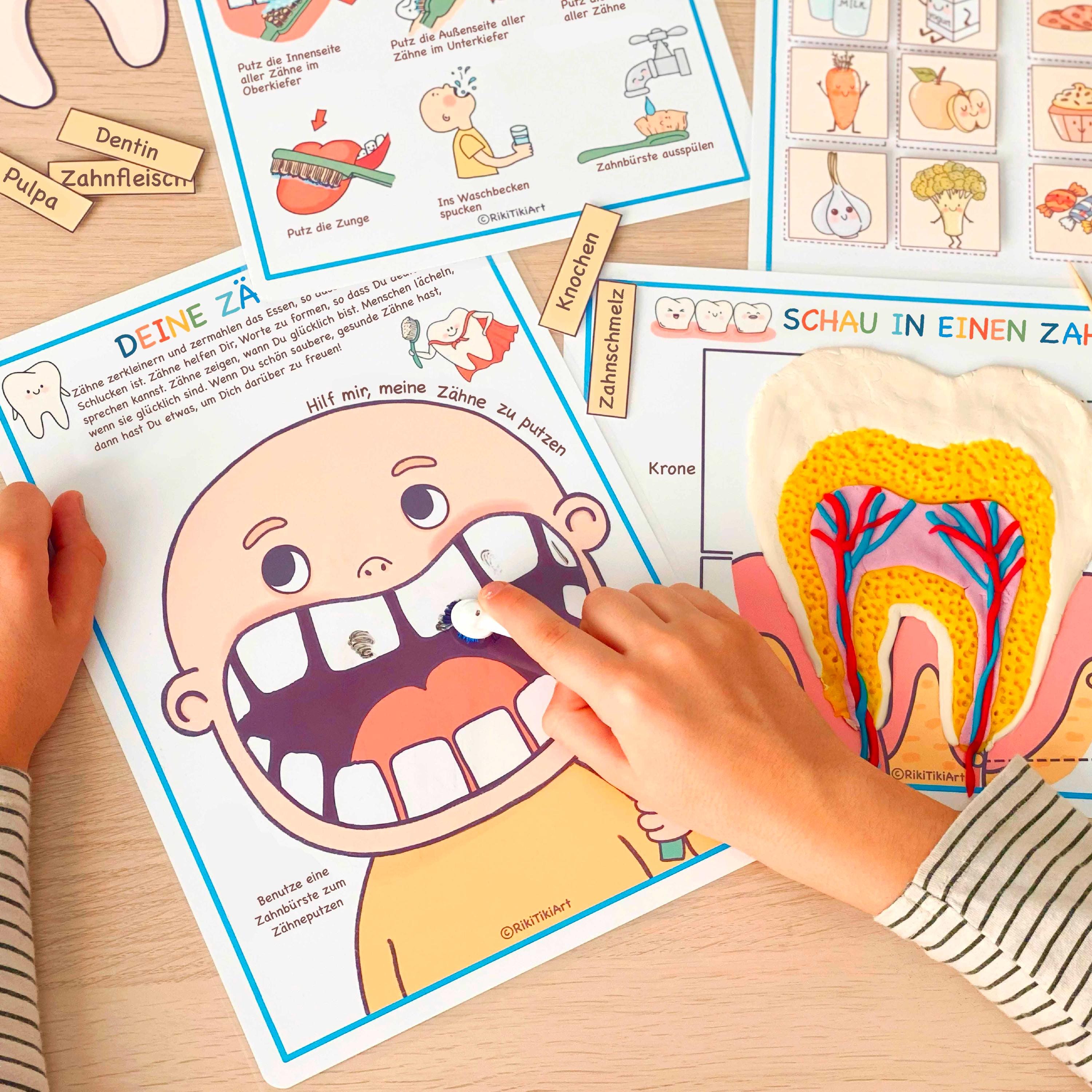German Human Anatomy Busy Book Homeschool Human Body Unit Study ...