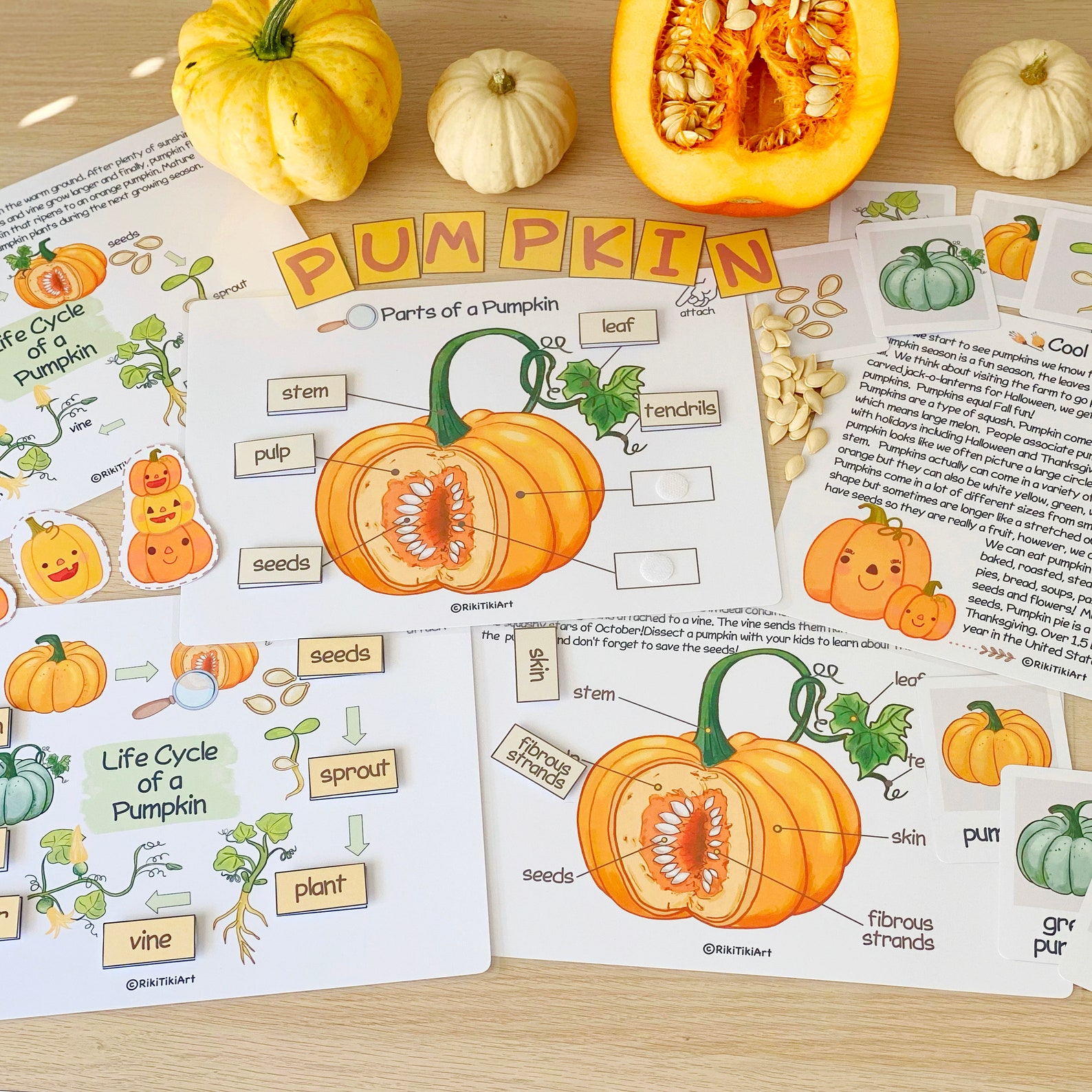Pumpkin Unit Study Homeschool Learning Materials Charlotte - Etsy