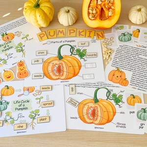 Pumpkin Unit Study Homeschool Learning Materials Charlotte Mason ...