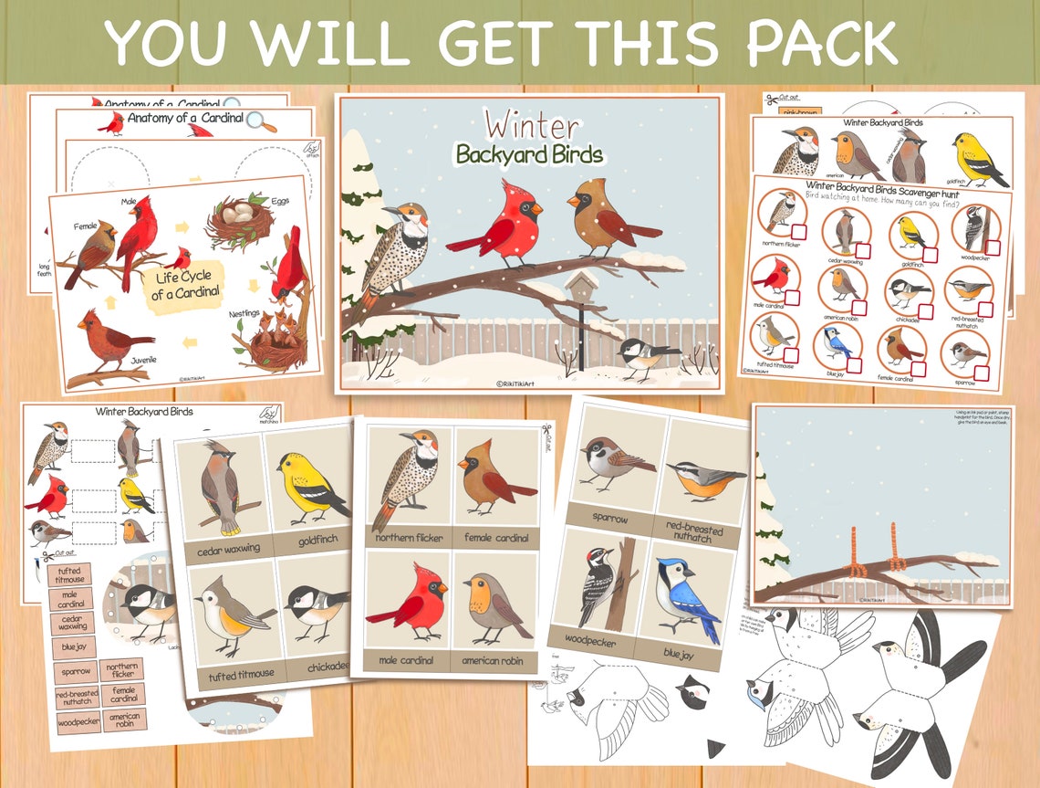 Winter Backyard Birds Unit Study Charlotte Mason Homeschool Learning ...