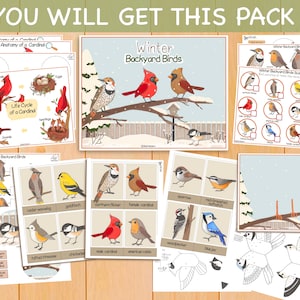 Winter Backyard Birds Unit Study Charlotte Mason Homeschool Learning ...