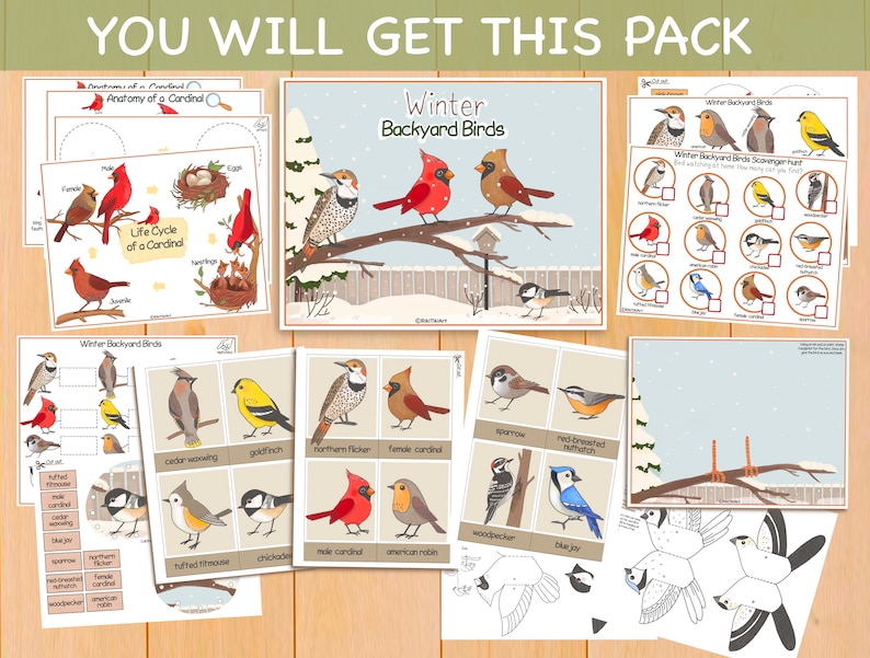 Winter Backyard Birds Unit Study Charlotte Mason Homeschool - Etsy