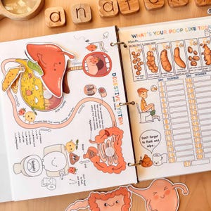 Human Anatomy Busy Book for Kids, Personalized Toddler Activity Book ...