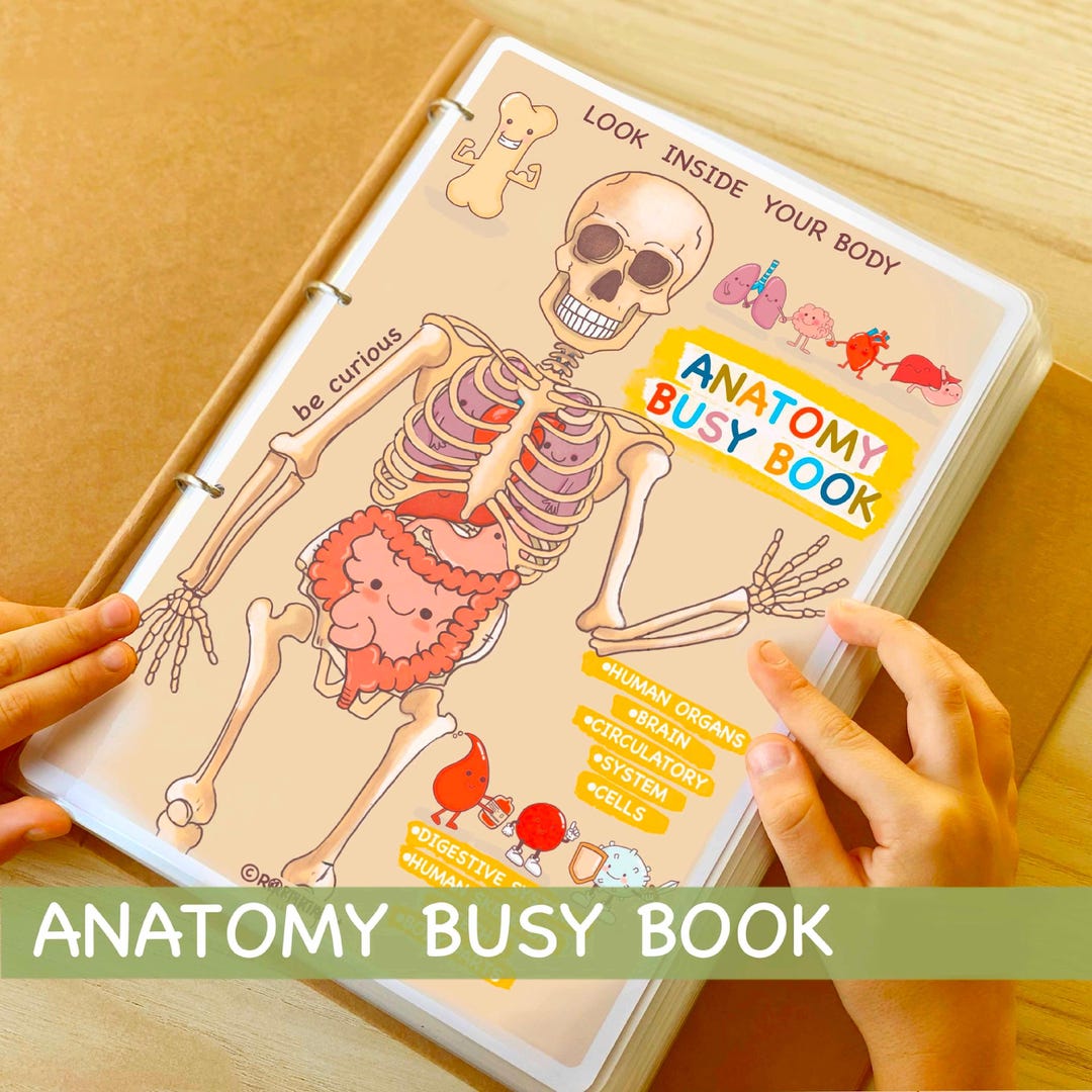 Human Anatomy Busy Book for Kids Printable Preschool Worksheets ...