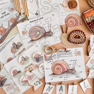 Snail Unit Study Charlotte Mason Spring Printable Worksheets Preschool ...