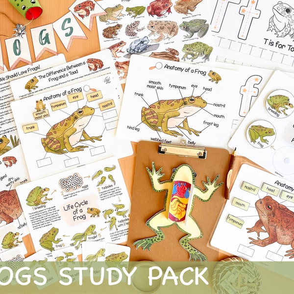 Frog Life Cycle Shirt - Etsy