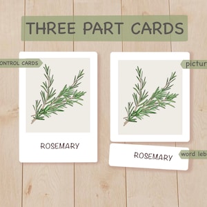 Herbs Flashcards, Printable Montessori Materials, Preschool Toddler ...
