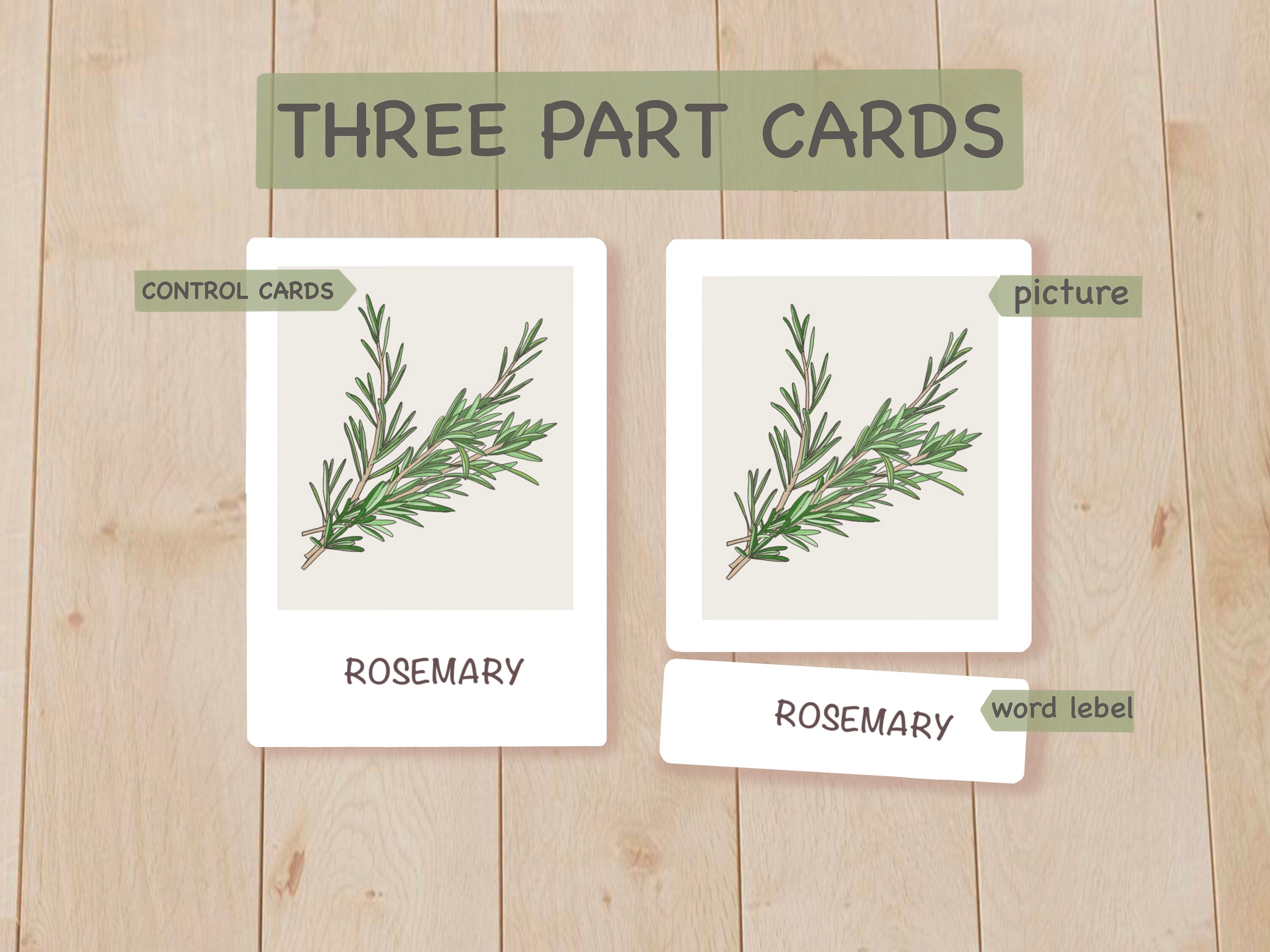 Herbs Flashcards Printable Montessori Materials Preschool - Etsy UK