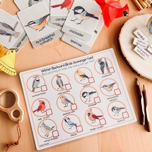 Winter Backyard Birds Unit Study Charlotte Mason Homeschool Learning ...