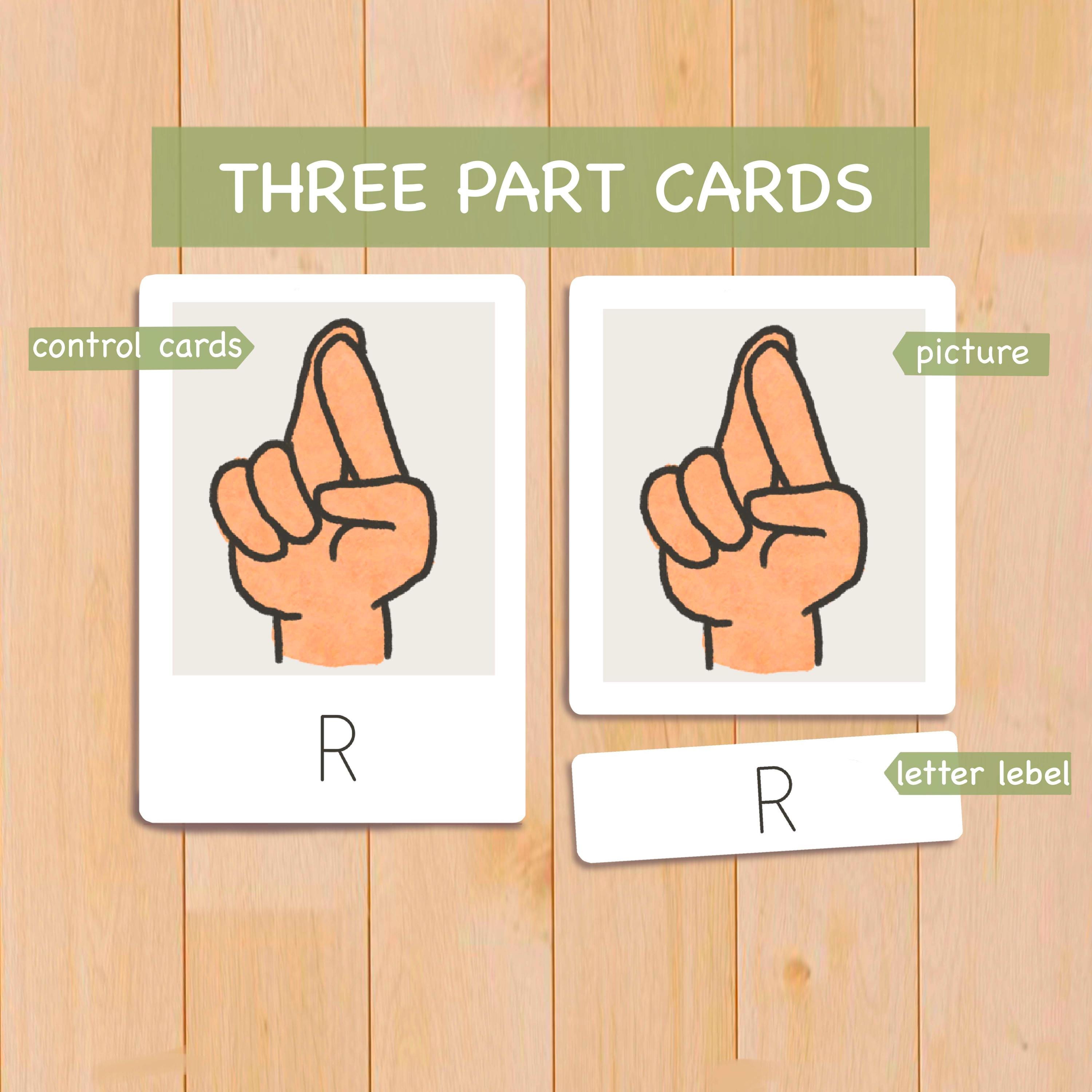 ASL Alphabet Flashcards Printable American Sign Language ABC Cards ASL ...