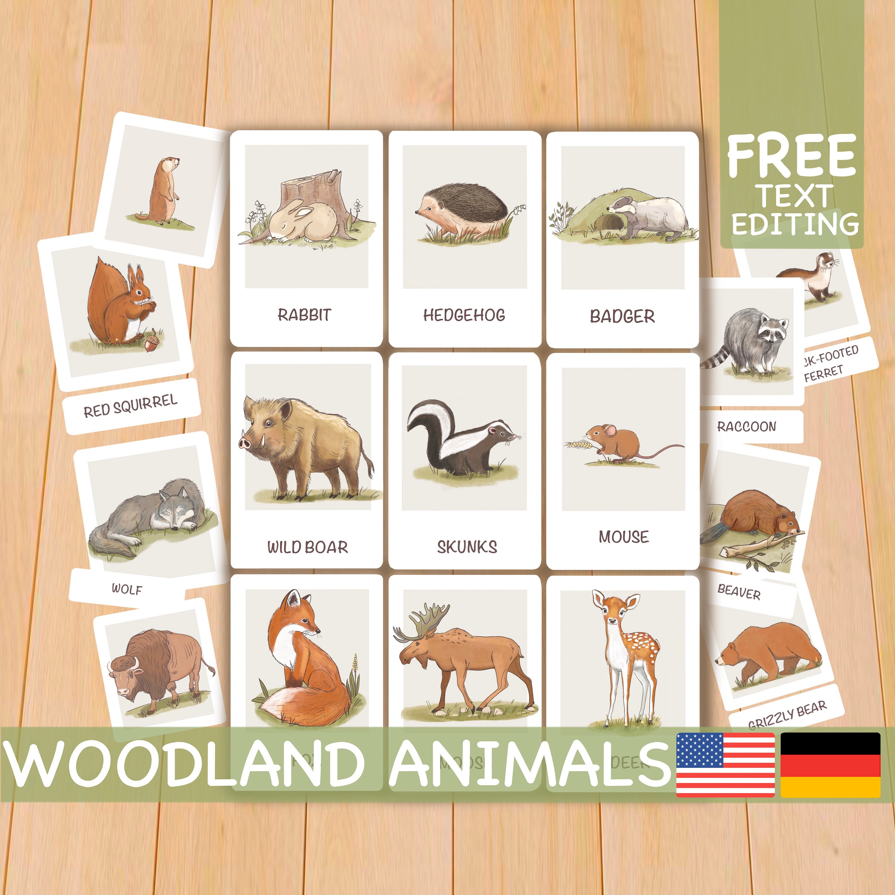 Woodland Animals Flashcards at Samantha Fredricksen blog