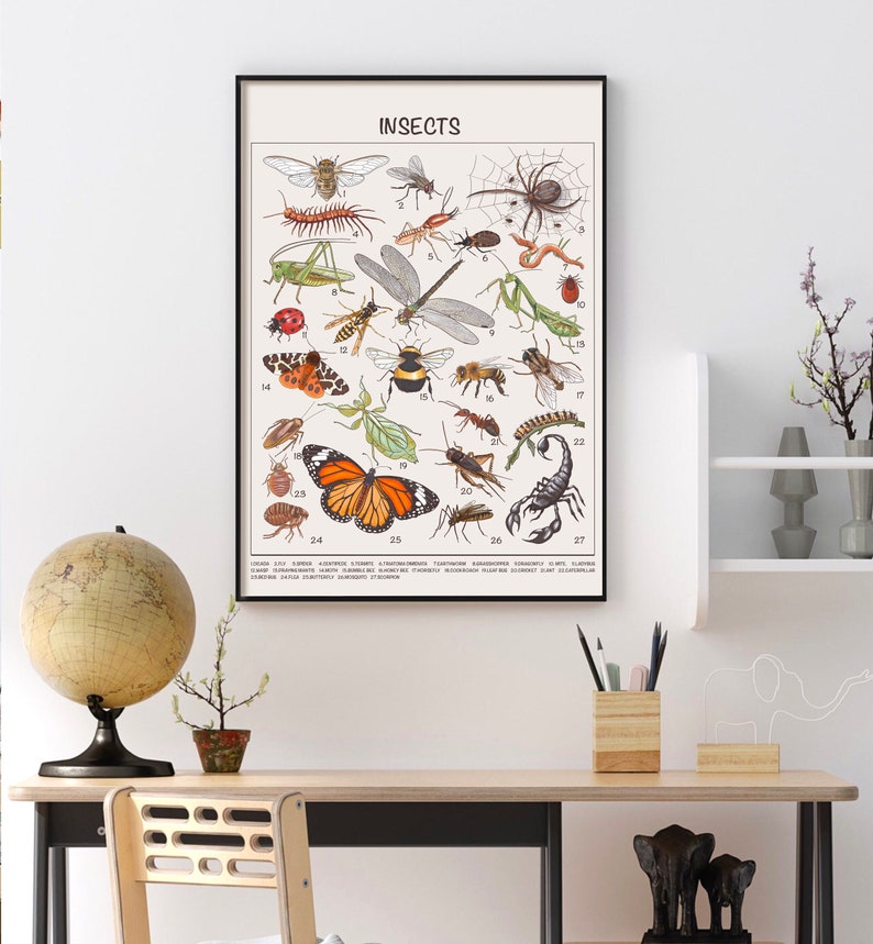 Insects Downloadable Prints Montessori Educational Poster Homeschool ...