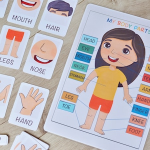 Body Parts Busy Bundle, Printable Montessori Materials - Educational ...