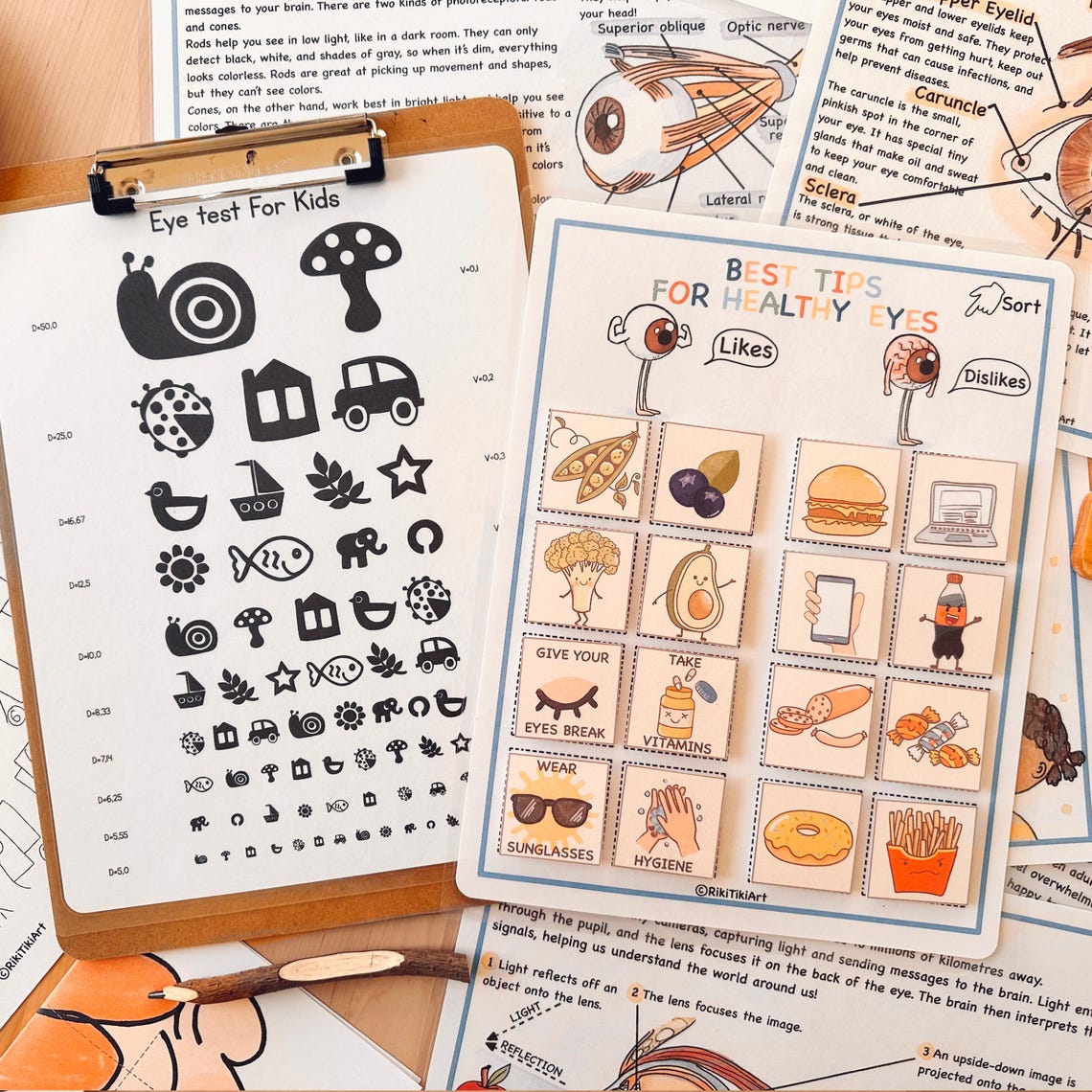 Human Eye Anatomy Bundle for Kids Human Body Parts, Human Anatomy ...