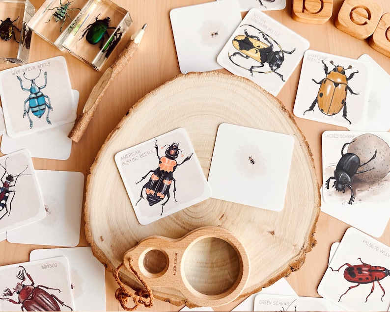 Beetles Study Activity Magnifying Glass Matching Game - Etsy