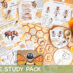 Honey Bee Unit Study Homeschool Summer Activities Bee Life - Etsy