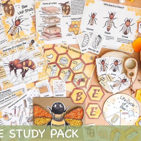 Honey Bee Unit - Etsy