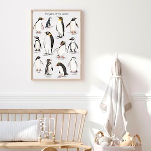 Penguins of the World Educational Poster Penguin Wall Art Animal ...