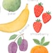 Fruits Poster Watercolor Educational Prints for Toddlers Printable ...