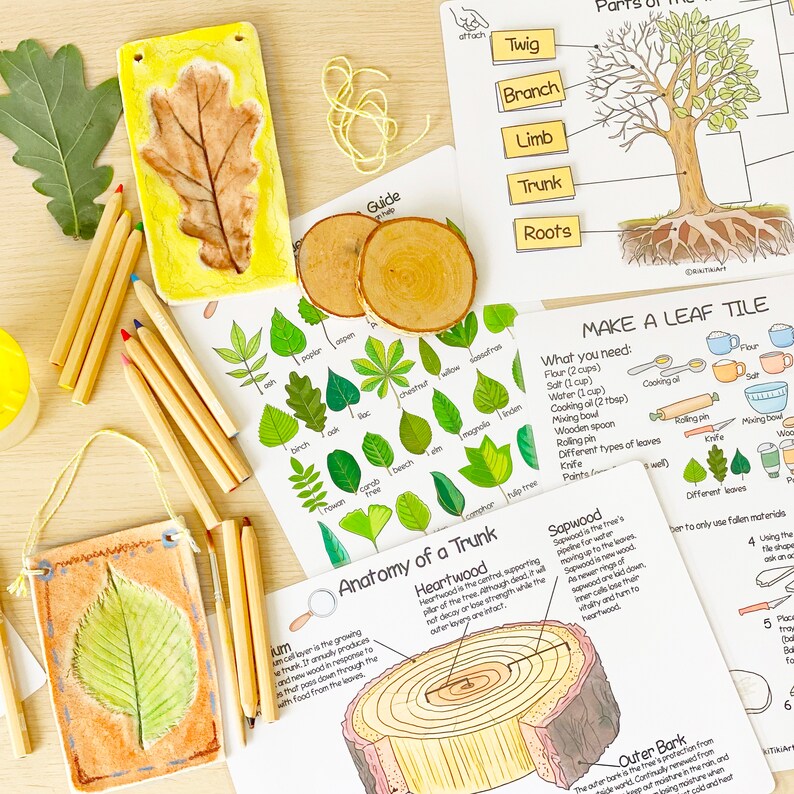 Tree Unit Study Bundle Charlotte Mason Anatomy of a Tree - Etsy