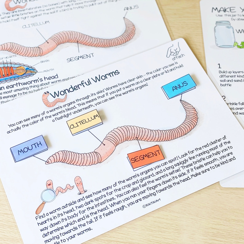 Worms Unit Study Charlotte Mason Printable Resources - Etsy