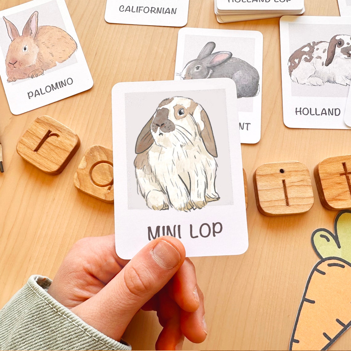 Rabbit Flash Cards Montessori Printable Homeschool Resources Nature ...