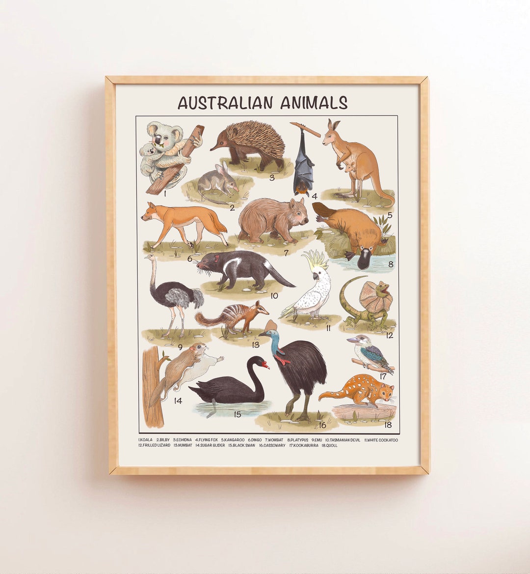 Australian Animals Educational Posters, Printable Montessori Materials ...