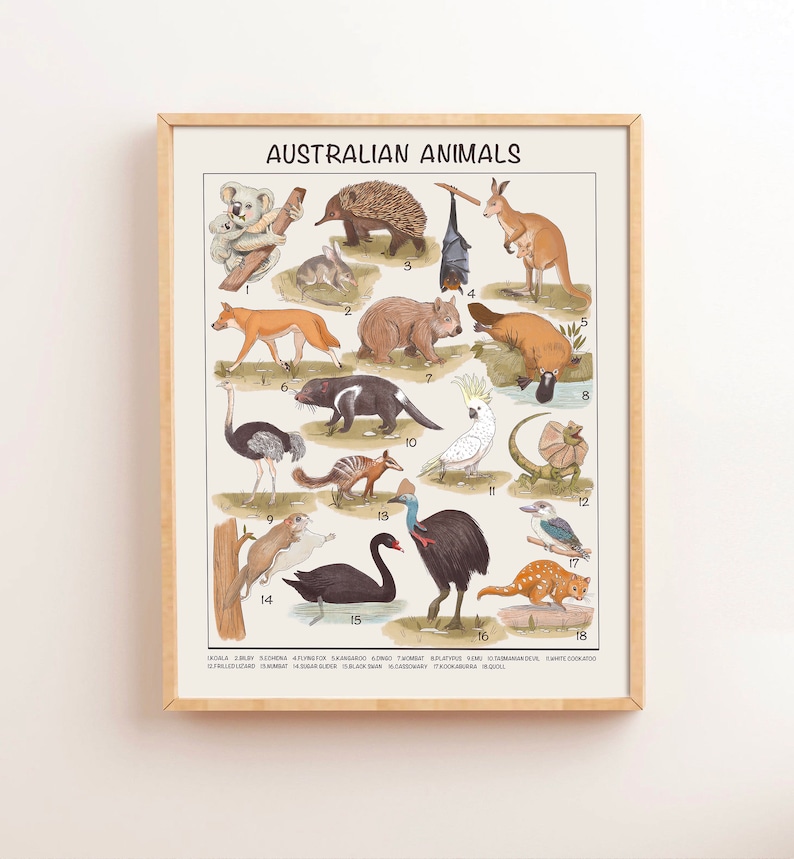 Australian Animals Educational Posters Printable Montessori | Etsy