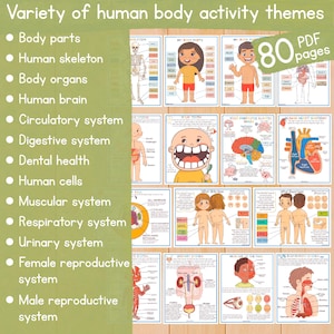 Human Anatomy BUNDLE - Systems Organs Parts of the Body, Anatomy Busy ...